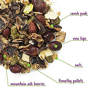 Vitakraft Chinchilla Cocktail Mixed Fruit Treat, 4.5 Ounce Pouch