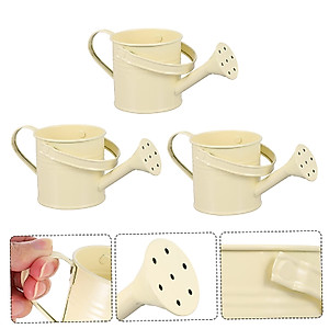 10 pcs Pour and Sprinkler Can Mini Spout Galvanized Plant Portable Yard Tin Pot Succulents Long Bucket Small for Cans Shabby Spray Kettle Display Metal Watering Sturdy