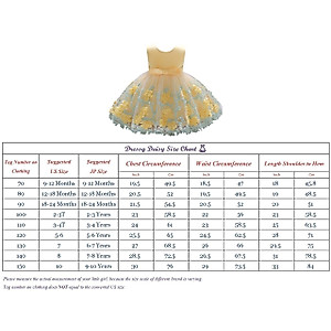 Dressy Daisy Baby Girls Wedding Flower Girl Pageant Dress Party Tulle Skirt for Special Occasion Size 18-24 Months Yellow