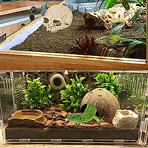 PINVNBY Bearded Dragon Tank Accessories,Reptiles Resin Human Skull Habitat Decor,Lizard Hammock Coconut Shell Hut Hideouts Cave Jungle Climber Vines Leaves Decorations for Chameleon Snake Spider Gecko