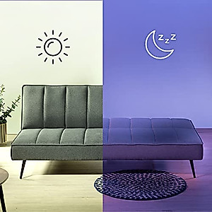 ZINUS Quinn Sleeper Sofa / Convertible Sofa / Futon / 2 in 1 Folding Sofa Bed for Apartments, Guest Rooms, and Compact Spaces