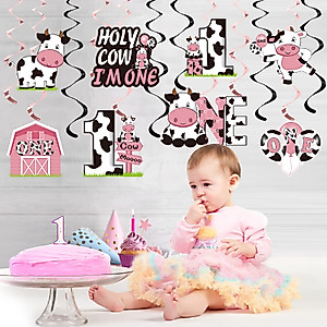 Holy Cow Im One Birthday Decorations Hanging Swirl for Baby Girl, Pink Cow First Birthday Foil Swirls Party Supplies, Baby 1st Bday Cow Theme Ceiling Hanging Sign
