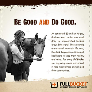 FullBucket Puppy Probiotic Paste with 60 Billion Probiotic CFUs, Enzymes, Prebiotics and Egg Immunoglobulins for Urgent Care, 32.5 mL Tube