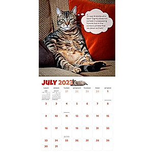 Chonkers Wall Calendar 2023: Irresistible Photos of Snozzy, Chonky Floofers Paired with Relaxation-Themed Quotes