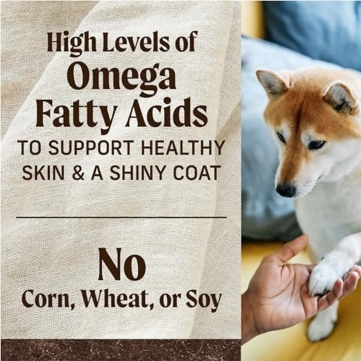 Merrick Premium Grain Free Dry Adult Dog Food, Wholesome And Natural Kibble With Real Salmon And Sweet Potato - 10.0 lb. Bag