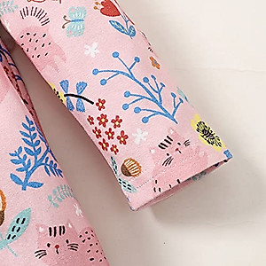 Toddler Girl Floral Cat Pink Dress Long Sleeve Baby Girl Cotton Fall Outfit(Cat/4T)