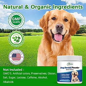 Dog Teeth Cleaning Powder, Dog Dental Powder, Dog Plaque and Tartar Remover Dog Breath Freshener, for Mouth, Teeth and Gum Health, Reduce 90% Dental Problems, Beef Flavor (100g)