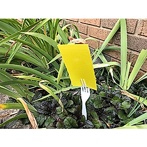 The Original Sticky Strip 3" x 5" Yellow (100Pack)