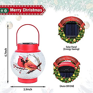 MUMTOP Solar Lantern Red Cardinal Light, Crackle Glass Hanging Solar Lights Outdoor LED Waterproof Tabletop Lamp for Table Yard Garden Patio Lawn Christmas Decorations