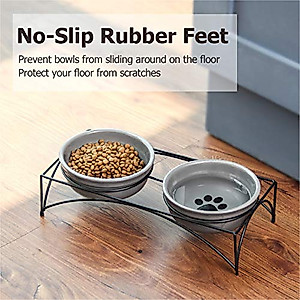 Y YHY Cat Food Bowls, Elevated Cat Bowls, Raised Pet Food Water Bowls with Stand, Ceramic Pet Bowls for Cat or Dogs, 12 Ounces Cat Dishes, Grey