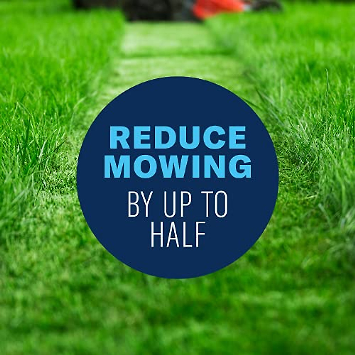 BioAdvanced Slow Mow Lawn Conditioner, Granules, 10.4 lb