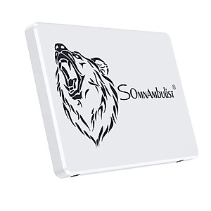 Somnambulist Computer Components ssd Disk sata 3 Built-in Hard Disk Storage Suitable for Personal Computers and laptops 2tb 120gb 960gb 240gb (White Bear 2TB)