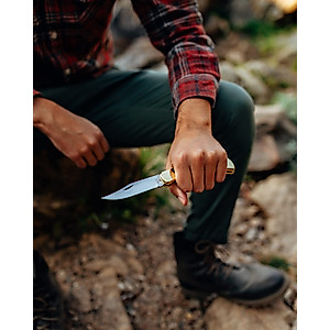 Buck Knives 110 Folding Hunter Lock-back Knife, Brass Bolsters, Ebony Handles, 3-3/4" 420HC Blade with Leather Sheath