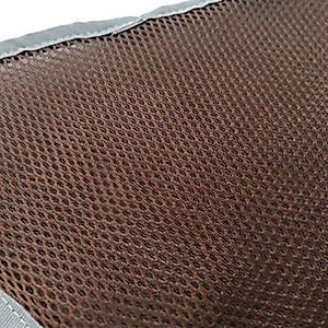 balacoo Bearded Dragon Bed Bearded Dragon Hammock Breathable Mesh Lizard Lounger with Tiny Suction Cups for Geckos, Iguanas,Anoles and Hermit Crabs (2pcs) Bearded Dragon Hammock