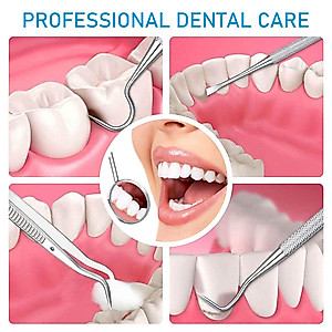 Plaque Remover for Teeth Portable Dental Tools Stainless Steel Dental Picks for Teeth Cleaning Oral Care for Adults Kids and Pets Tartar Remover for Teeth with Case for Daily Use