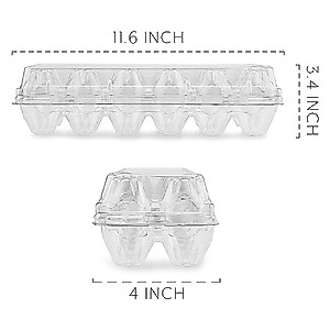 Clear Plastic Egg Cartons (20-Pack); Tri-Fold Containers for One Dozen Eggs