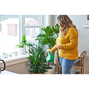 Miracle-Gro 190518 Battery Powered 48 oz. Handheld Sprayer, Green