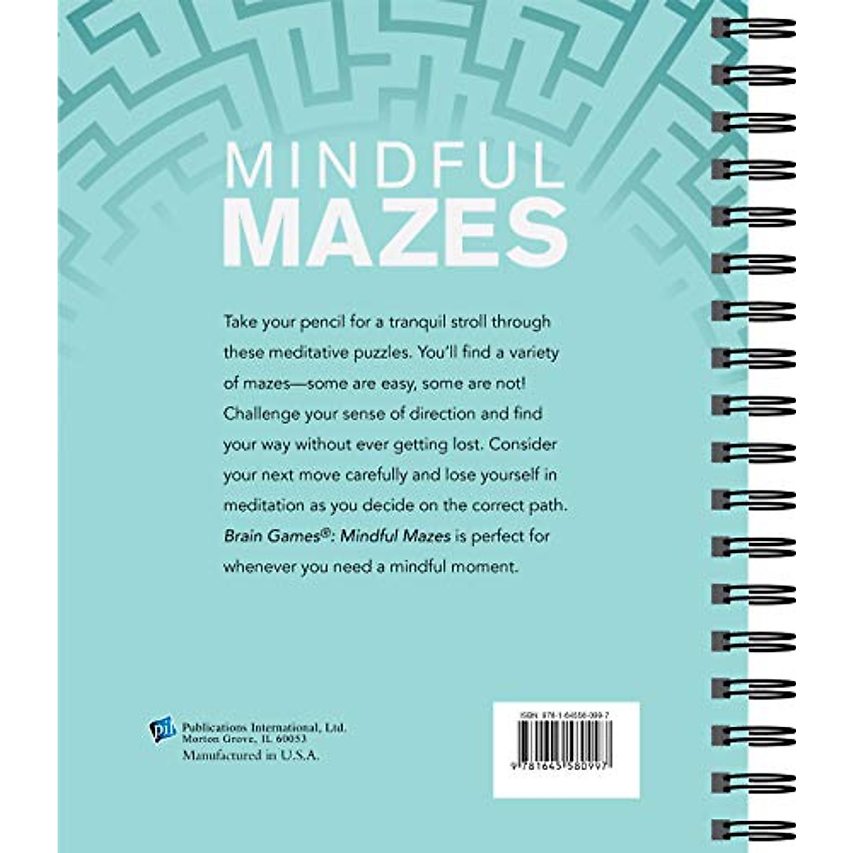 Brain Games - Mindful Mazes