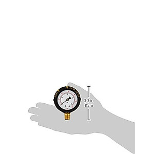 Pentair 190058 Pressure Gauge Replacement Pool/Spa Valve and Filter