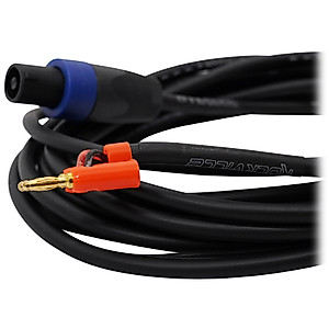 Rockville 20 Foot Speakon to Banana Speaker Cable, 16 Gauge, 100% Copper (RSB16),Black