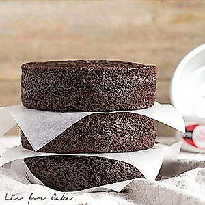 Lumintrail Fat Daddios Anodized Aluminum Tiered Round Cake Pans Bundle with a Spoon Set (4" Diameter (Set of 2), 2" Deep)