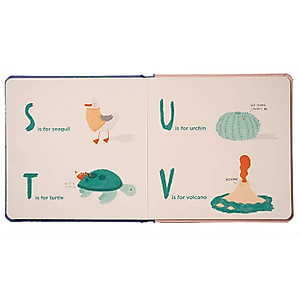Manhattan Toy Mermaid's ABCs Baby Board Book, Ages 6 Months and up