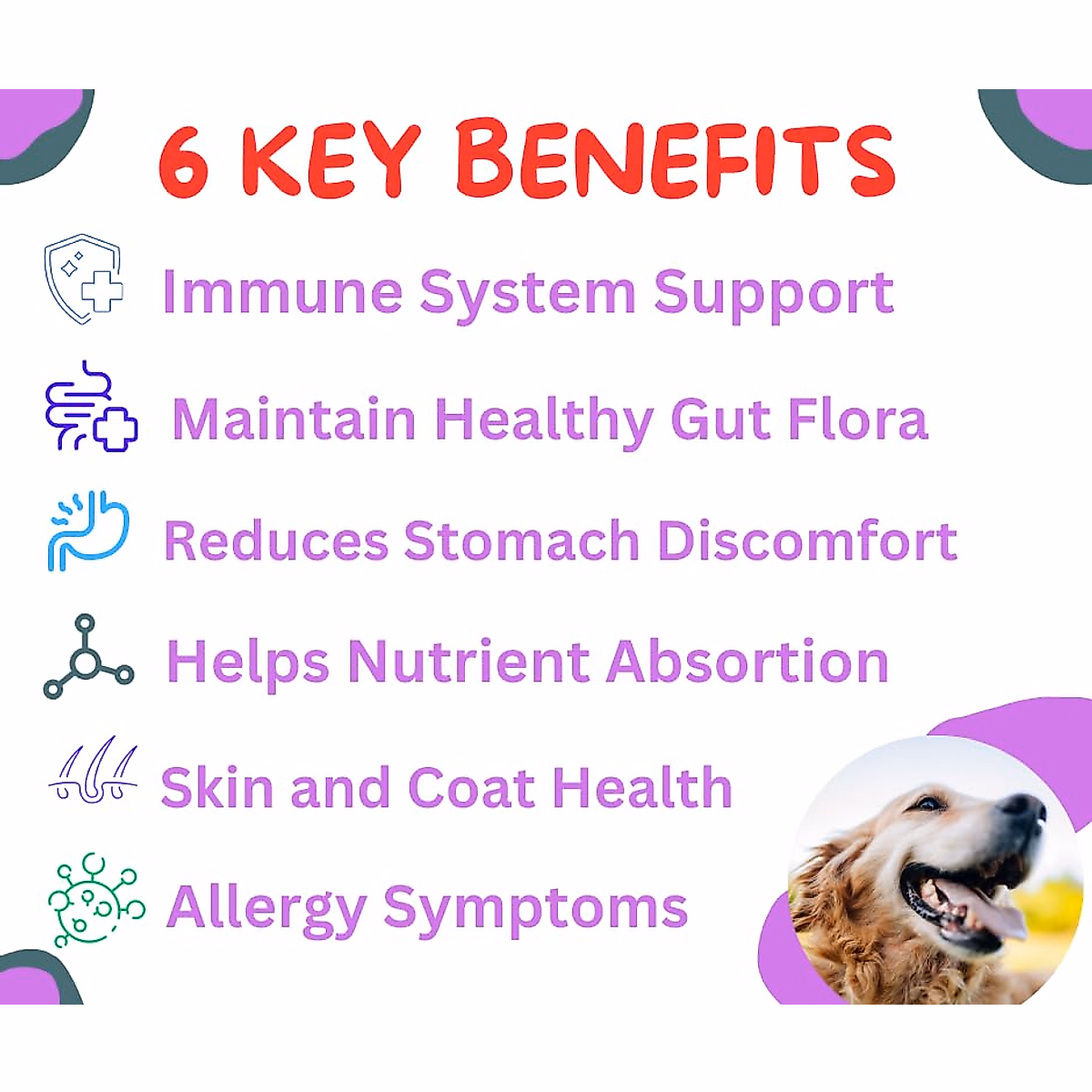 FREYDELL Pets Probiotics for Dogs Dog Upset Stomach Relief Dog probiotic, Fiber Supplement for Dogs, Yeast Infection Treatment for Dogs & Dog Diarrhea Medication, Probiotic for Dogs of All Ages.