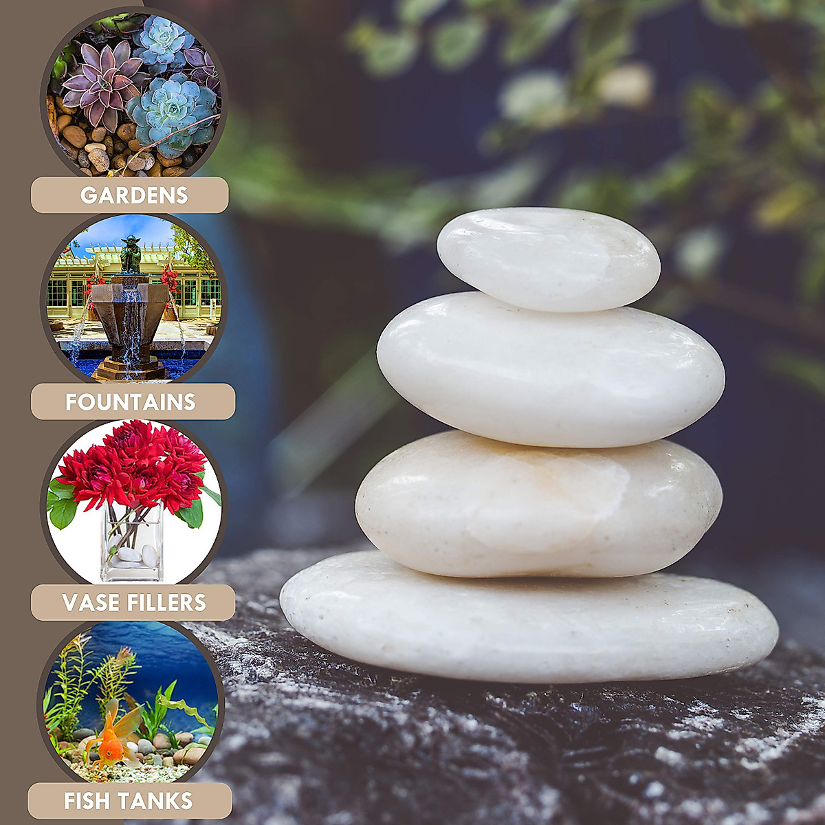 Galashield 5 lbs Approx. 130 White River Rocks Stones for Plants Pebbles for Indoor Plants | Aquarium Fish Tank Rocks | Polished Decorative Rocks for Vases (0.8-1.6 Inches)