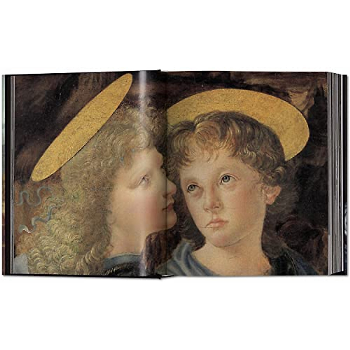 Leonardo da Vinci, 1452-1519: The Complete Paintings and Drawings