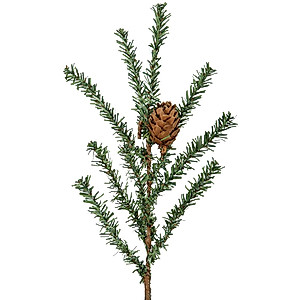 Vickerman 1.5 foot tall Caramel Pine Artificial Christmas Tree Unlit, Seasonal Indoor Home Decor with Decorative Burlap Base - Featuring Decorative Pine Cones