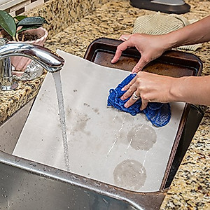 Homey 10-Pack Flexible Reusable and Resizable Non Stick Teflon Food Dehydrator Sheets, 14x14-Inches