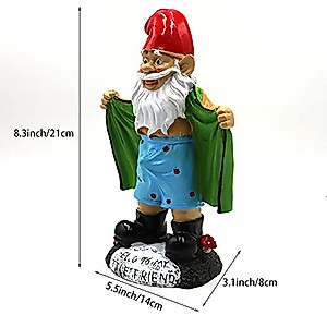 Tirifer 8.3inch/21cm Big Size Garden Gnome, Polyresin Outdoor Sculpture Gnome Statue Garden Figurine Art Garden Decoration for Lawn Yard Balcony Porch Patio