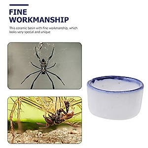 Ipetboom 12pcs Reptile Food Dish Bowl, Worm Dish Ceramic Pet Bowls Terrarium Bowls Reptile Water Sink for Leopard Gecko Bearded Dragon Tank Accessories, 2x2x1cm