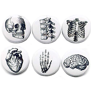 Anatomy 6 Magnets Brain Skull Anatomy Hand Anatomical Heart Vertebrae Human Body Geekery Skeleton Stocking Stuffer Party Favor med Student Gift