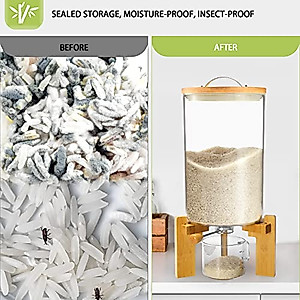 Csyidio 8.8L Rice Dispenser with Stand and Measuring Cup, Glass Rice Dispenser Cereal Dry Food Storge Container for Kitchen Pantry Organization