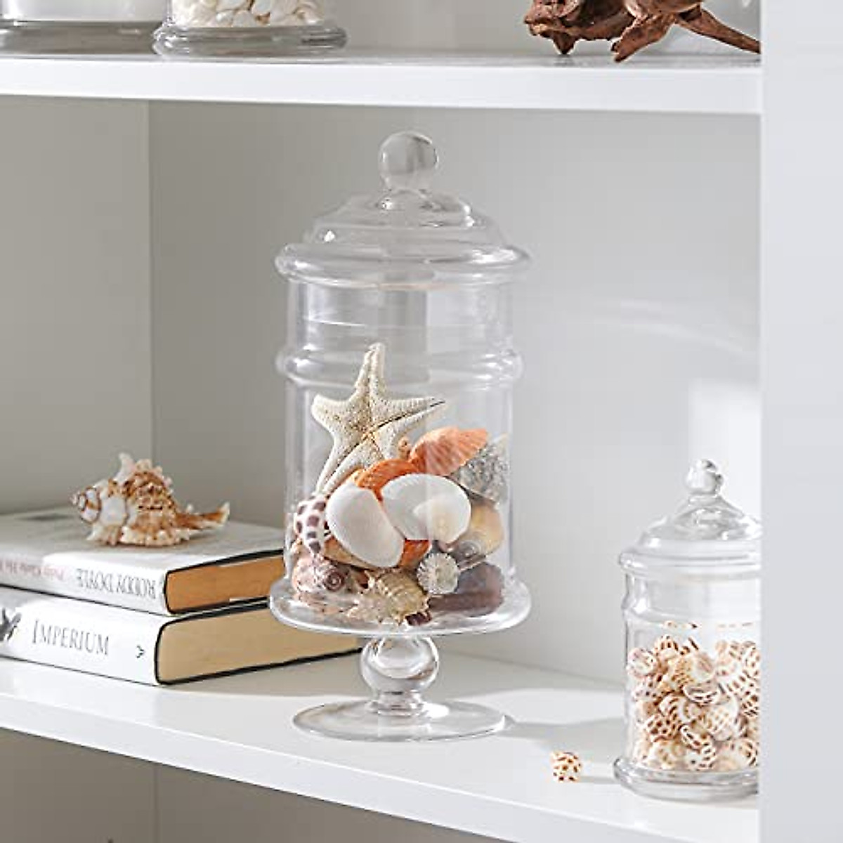 Motifeur Glass Apothecary Jars, Bathroom Storage Organizer Stand, Decorative Wedding Candy Buffets Container (Clear)