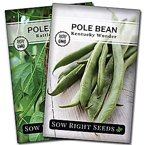 Sow Right Seeds - Pole Bean Seed Collection for Planting - Individual Packets Kentucky Wonder and Rattlesnake Pole Bean, Non-GMO Heirloom Seeds to Plant an Outdoor Home Vegetable Garden