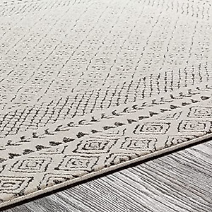 Artistic Weavers Melodie Boho Farmhouse Runner Area Rug,2'7" x 10',Beige