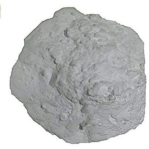 TrueNute Potassium Silicate in 16 Oz Packs, for Aquaponics, Hydroponics, Soil Drench and Foliar Spray to Correct Potassium and Silicate Deficiencies, Helps to Protect Plants from Pest Mold and Mildew