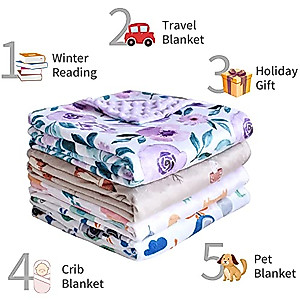 Baby Blankets for Boys Girls Soft Minky Blanket for Newborn Infant Toddler Used for Crib Stroller Nursery (Butterfly)