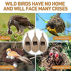 WDEFUN Humming Bird Houses for Outdoor Hanging, Natural Grass Bird Hut,Hand Woven Hummingbird Nest,Wren Finch Bird House for Garden Window Outdoor Home 3 Pack