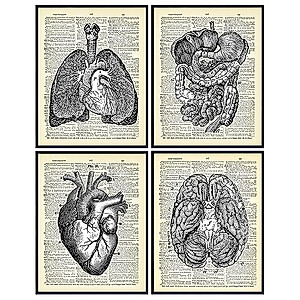 Heart, Lungs, Brain, Intestine Anatomy Organs - Upcycled Dictionary Wall Art Prints for Medical Clinic, Office - 8x10 Vintage Steampunk Goth Decor Set - Gift for Doctor, Nurse, Med School, Student