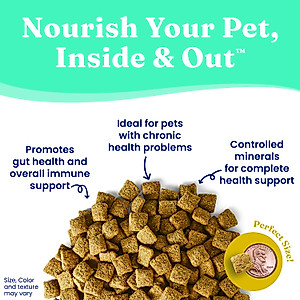 Solid Gold Dry Dog Food for Adult & Senior Dogs - Made with Oatmeal, Pearled Barley, and Fish Meal - Holistique Blendz Potato Free High Fiber Dog Food for Sensitive Stomach & Immune Support - 12 LB