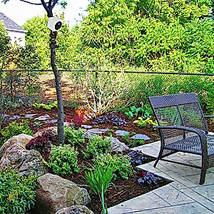 2Pack Twist Mount for All-New Wyze Cam V3 & Wyze Cam Outdoor, Flexible Gooseneck Mounting Bracket to Attach Your Camera Anywhere with No Tools - Black