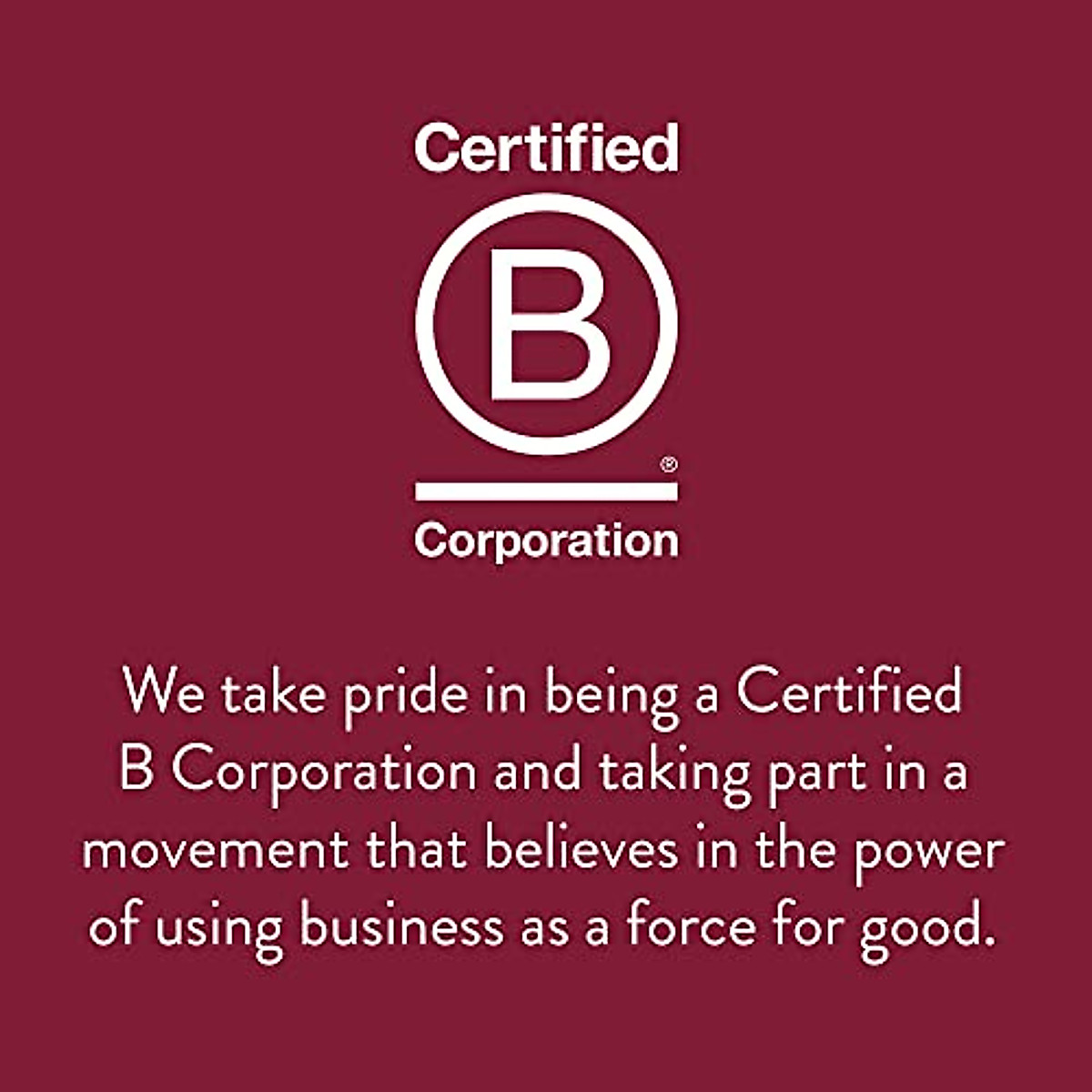 Stash Tea Chai Spice Premium Loose Leaf Black Tea, 3.5 Ounce