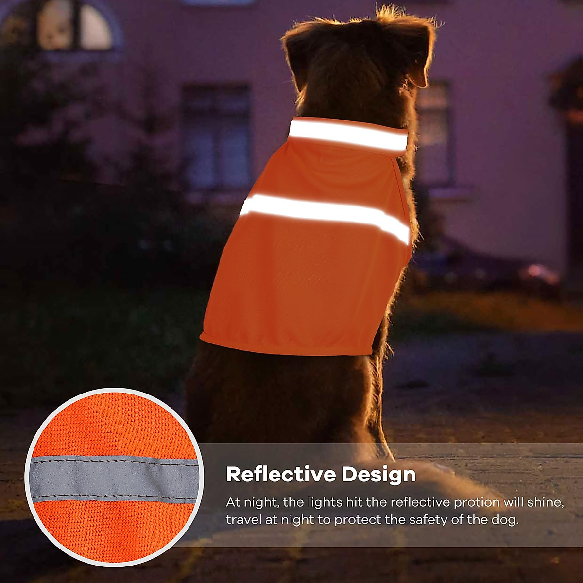 Dog Jacket High Visibility Safety Reflective Dog Vest for Small Medium Large Dogs (Large, Orange)