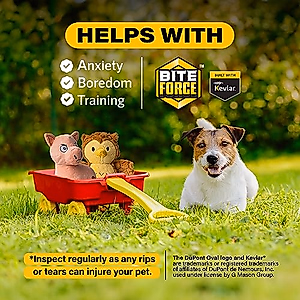 Bite Force Dog Chew Toys