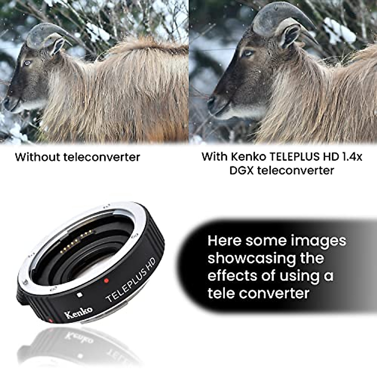 KENKO - Teleplus 1.4X HD DGX Teleconverter for Canon - Black