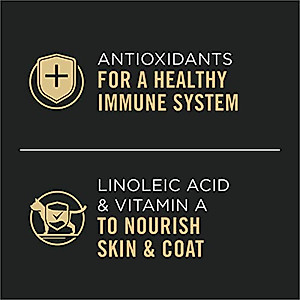 Purina Pro Plan Complete Essentials High Protein Cat Food Gravy, Wet Cat Food Chicken Entree - (24) 5.5 oz. Cans