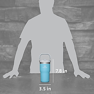 Stanley IceFlow Stainless Steel Tumbler with Straw - Vacuum Insulated Water Bottle for Home, Office or Car Reusable Cup Leak Resistant Flip Cold 12 Hours Iced 2 Days (Pool)